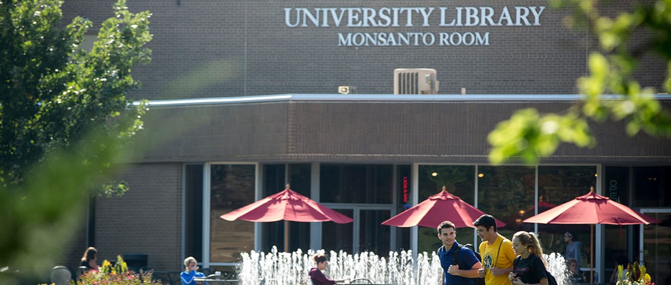 Summer in the University Library - MPress